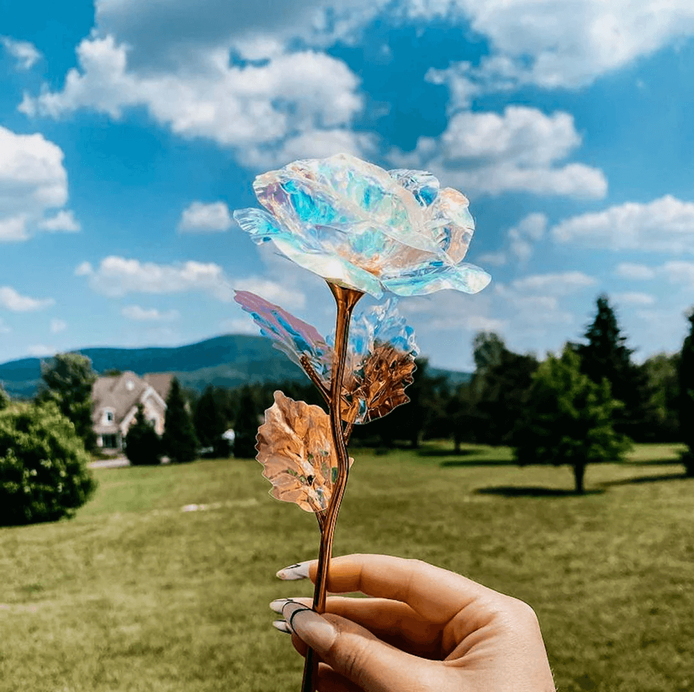 How Do You Display Galaxy Roses – Nuptio